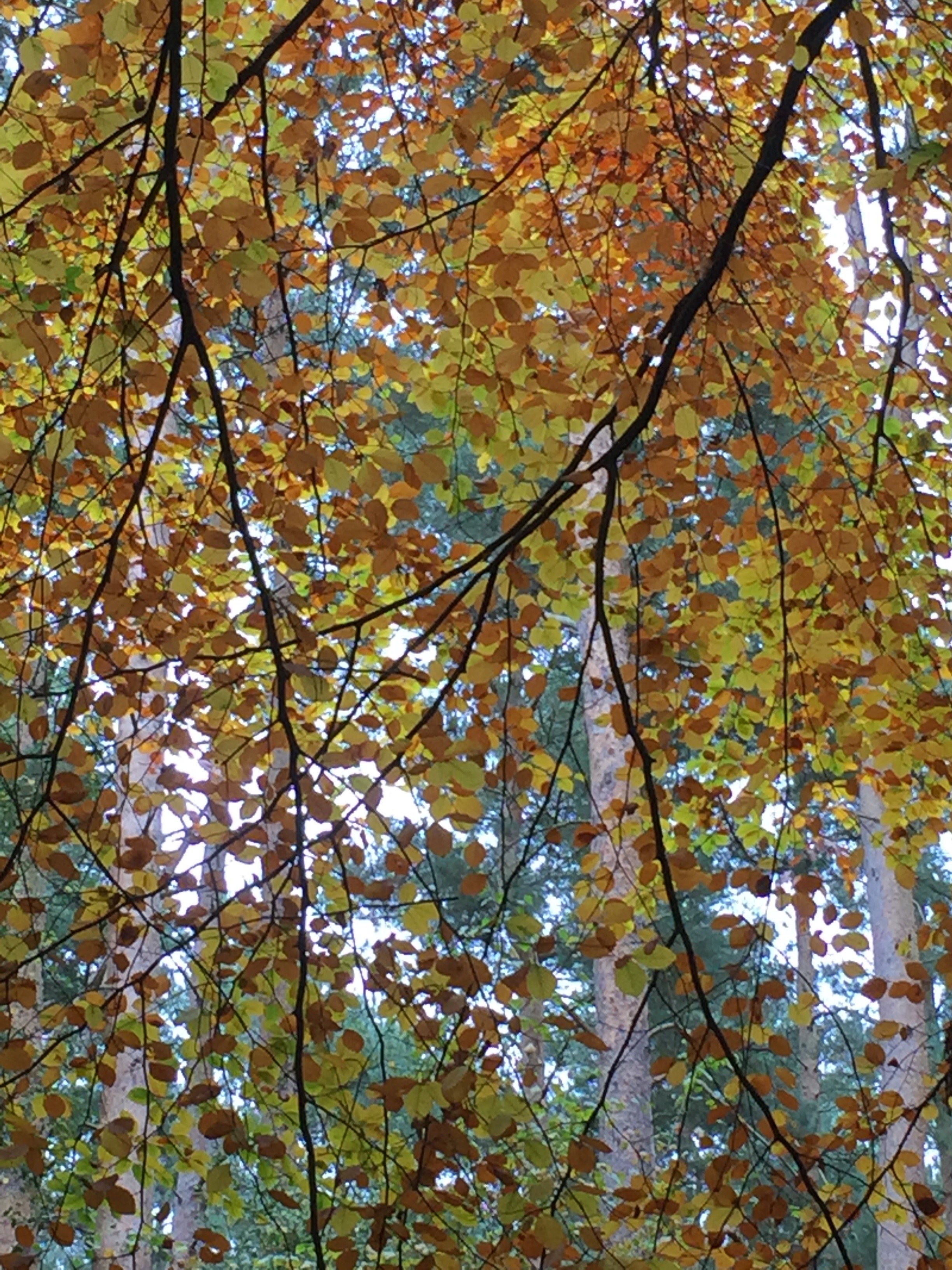 Moodle | York St John University : Search results